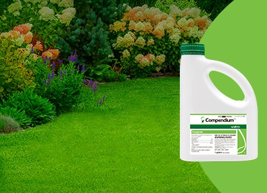 Syngenta US – Professional Solutions | Syngenta